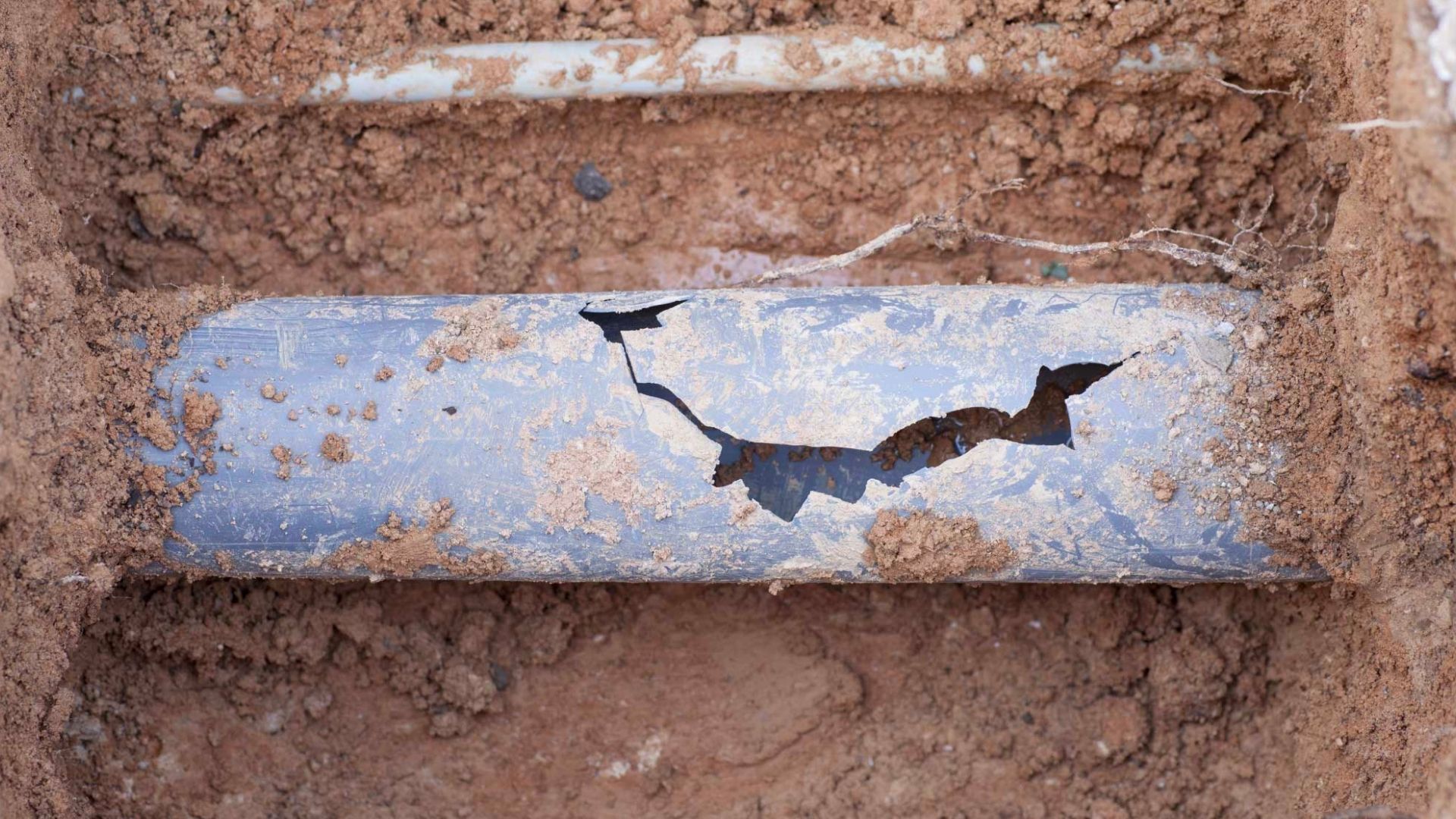 The Advantages of Trenchless Pipe Relining - The Brisbane Plumbers