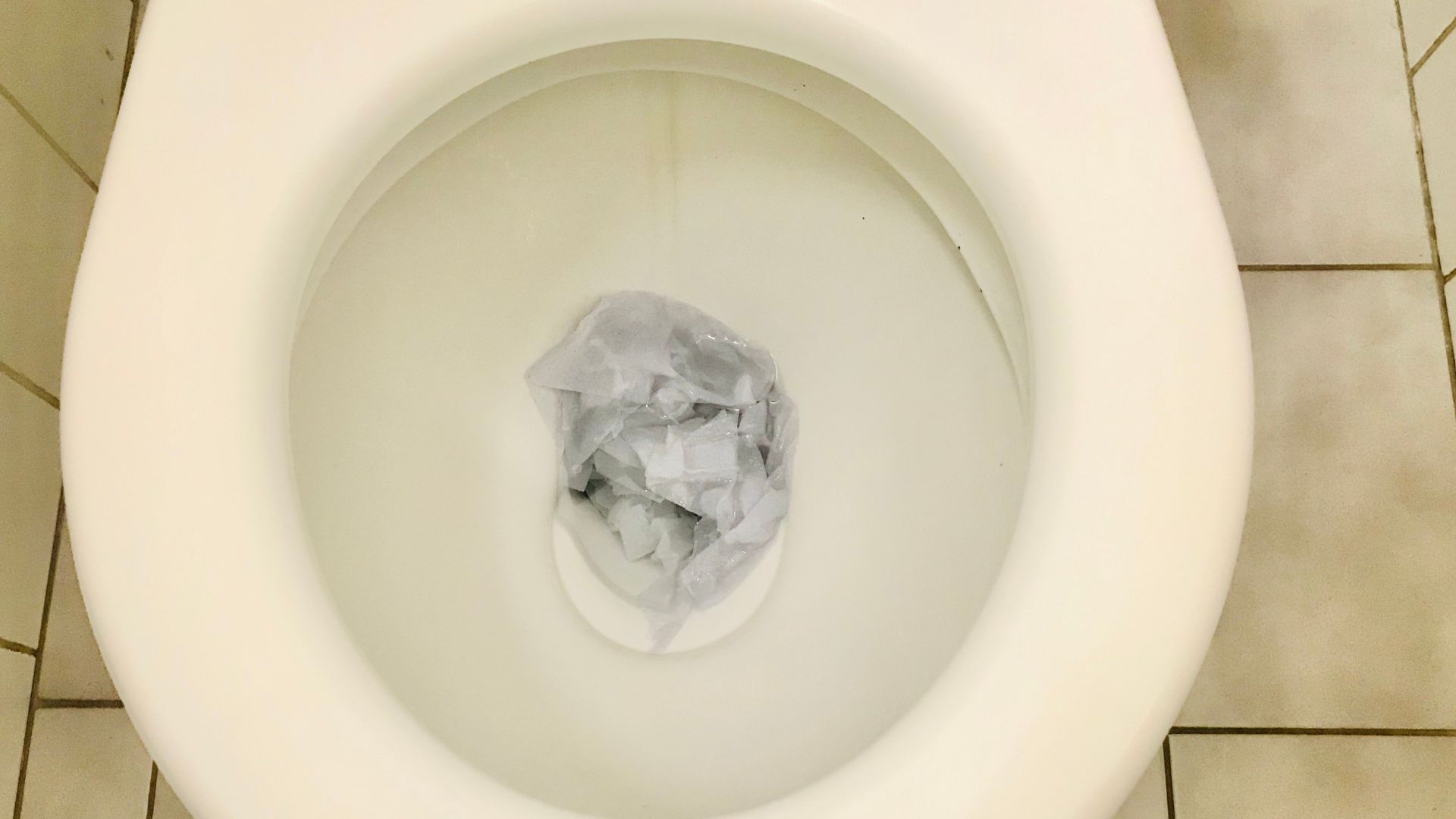 Is Your Toilet Clogged with Toilet Paper?