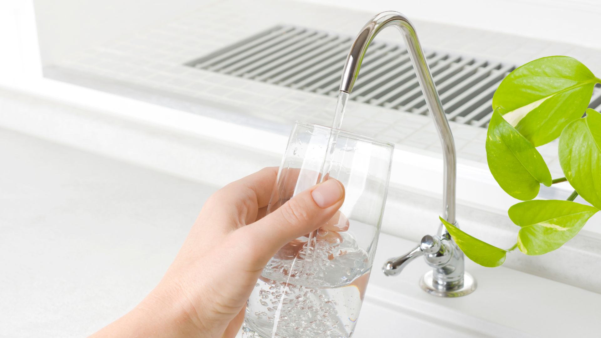 Main Water Line Replacement Brisbane